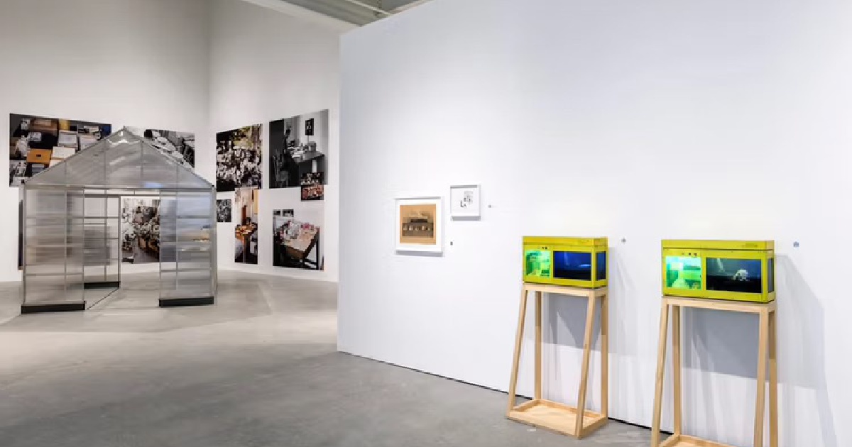 Carl Cheng | The Art Newspaper | Philip Martin Gallery